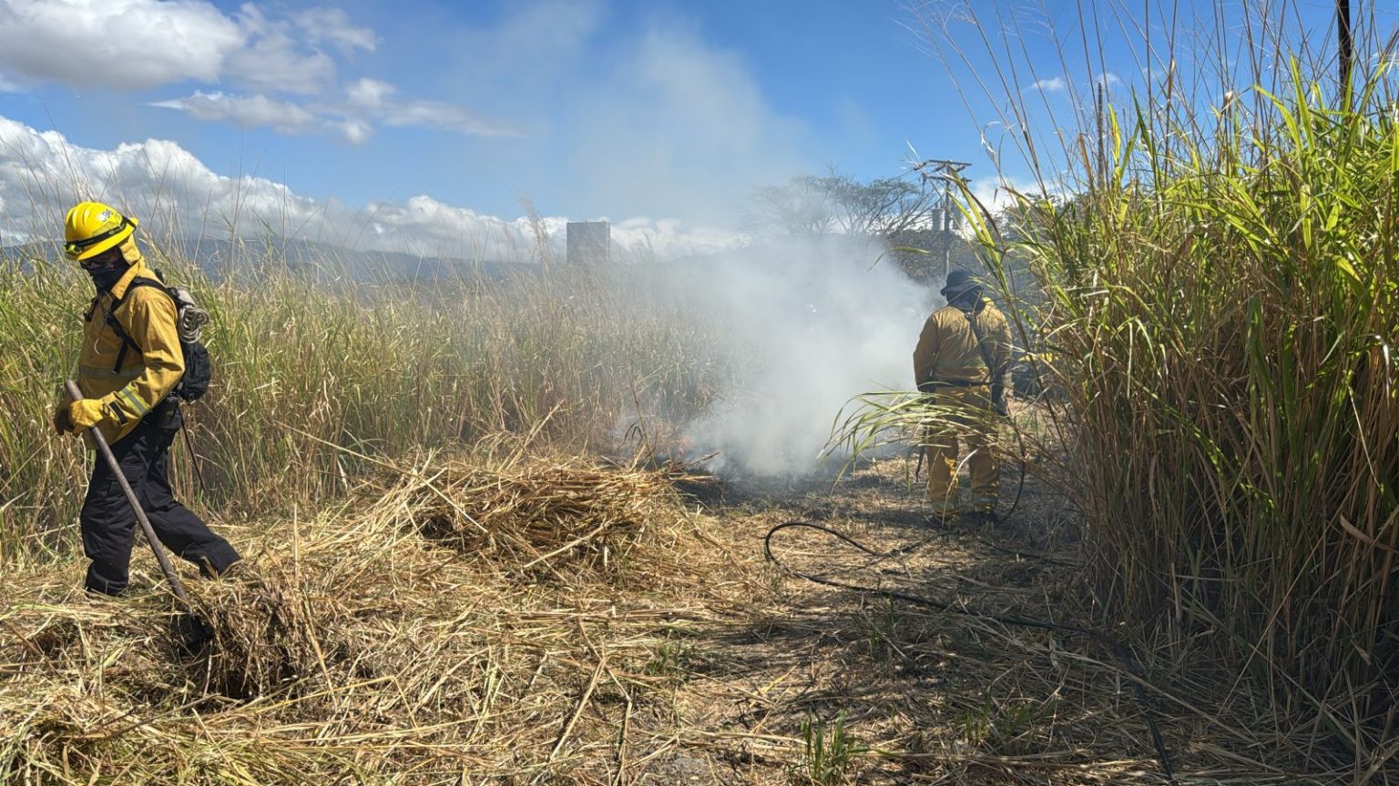 Bomberos refuerzan labores preventivas contra incendios forestales en ...